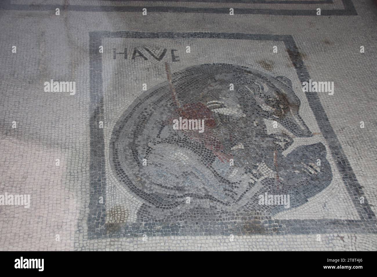 Pompeii Ruins Bear Mosaic, Remains of Roman city buried by eruption of ...