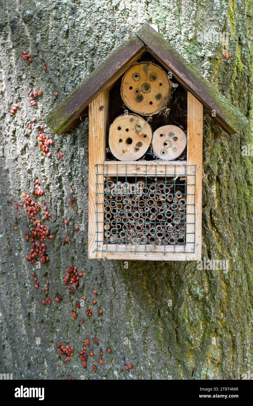Settle diy hi-res stock photography and images - Alamy