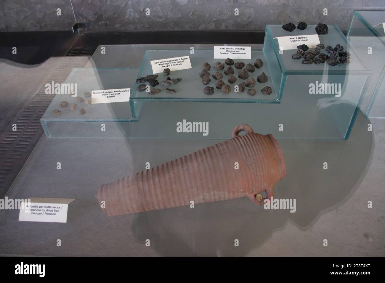 Pompeii Ruins: Exhibit of Preserved Food Items, Remains of Roman city ...