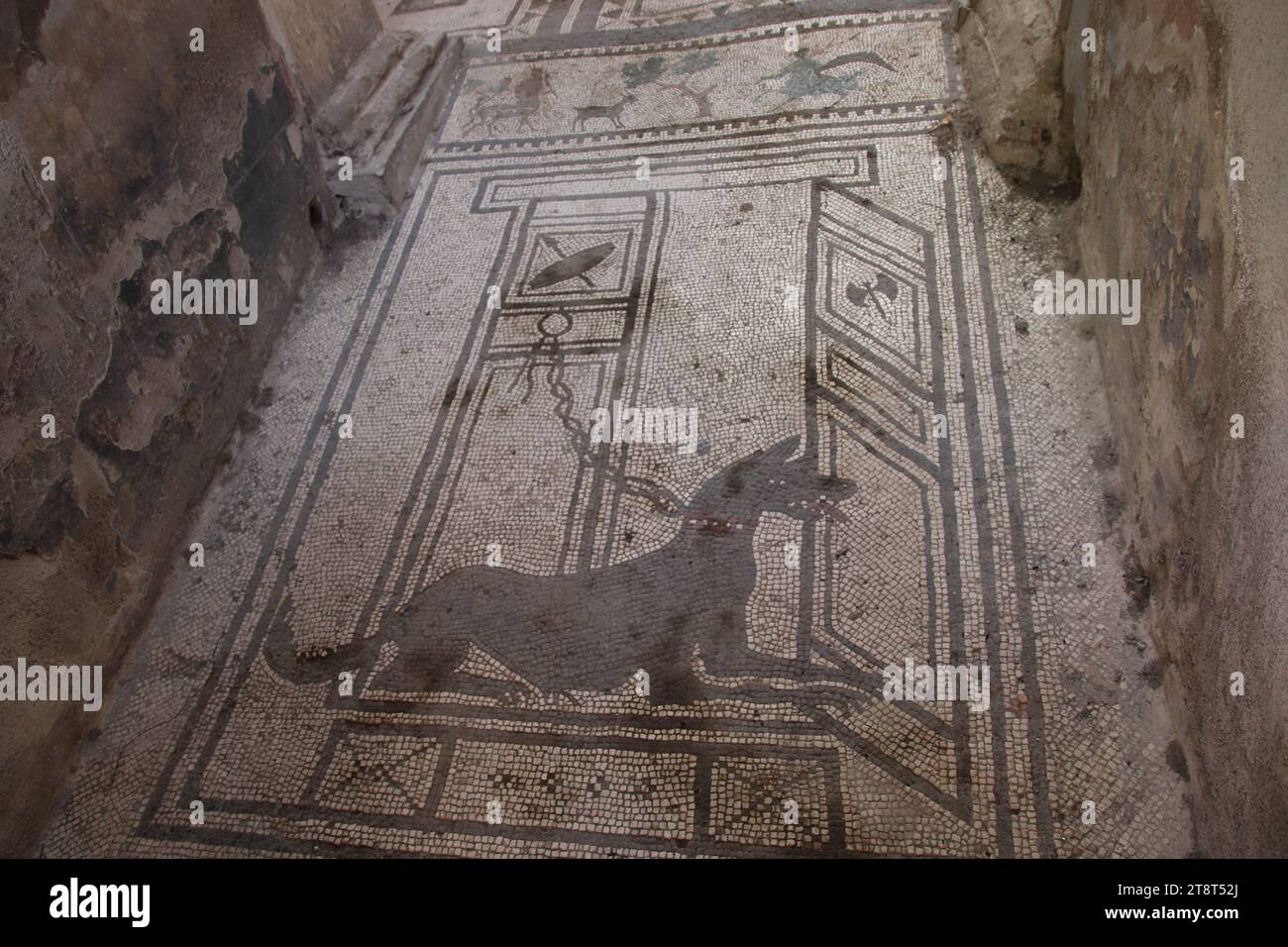 Pompeii ruins black mosaic dog hi-res stock photography and images - Alamy