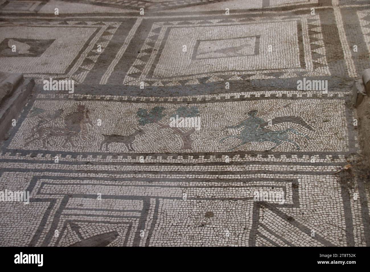 Floor mosaic pompeii hi-res stock photography and images - Alamy
