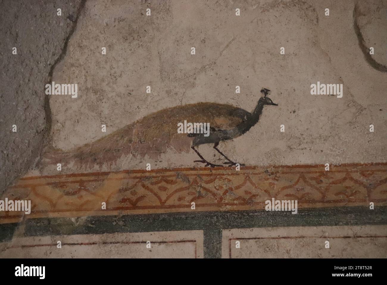 Pompeii ruins peacock fresco hi-res stock photography and images - Alamy