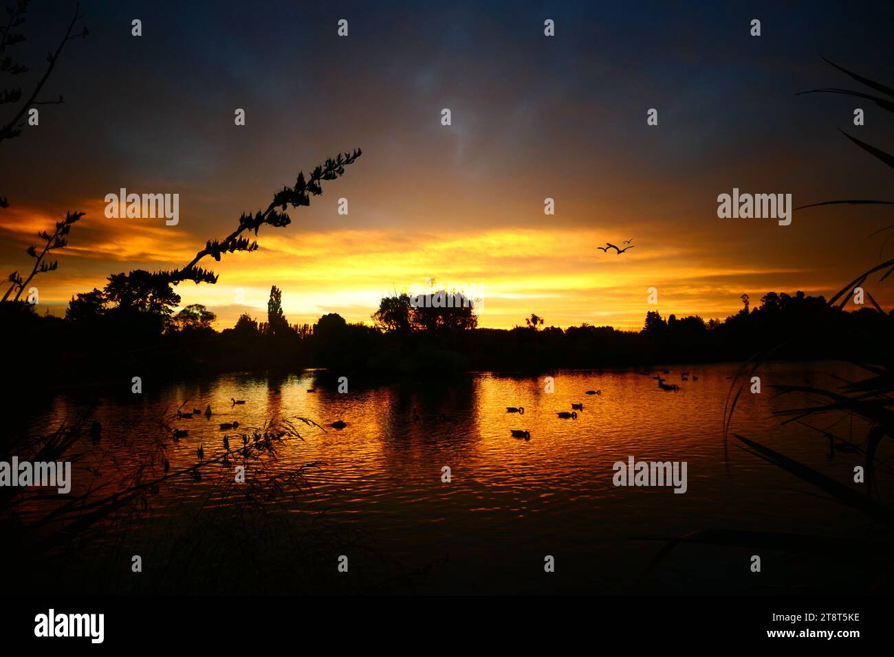 Another beautiful wetland worth visiting hi-res stock photography and ...