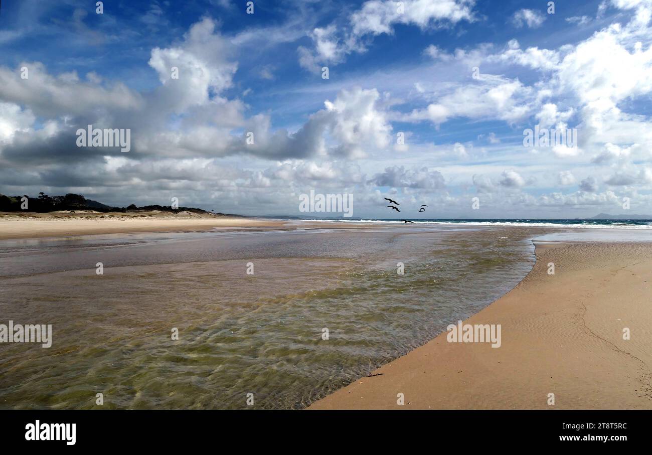 Pakiri beach northland nz hi-res stock photography and images - Alamy