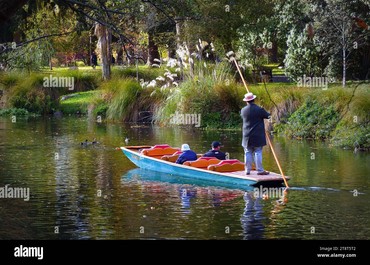 Punting on The Avon, Relax and admire the beautiful Botanic Gardens as ...