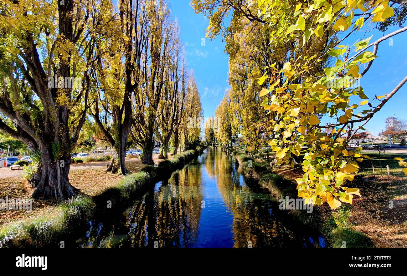 Autumn on the Avon, The Avon River flows through the centre of the city ...