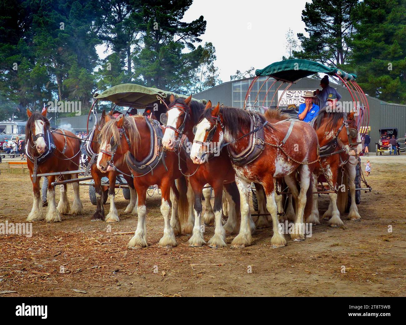 Anglo saxon word dragan hi-res stock photography and images - Alamy