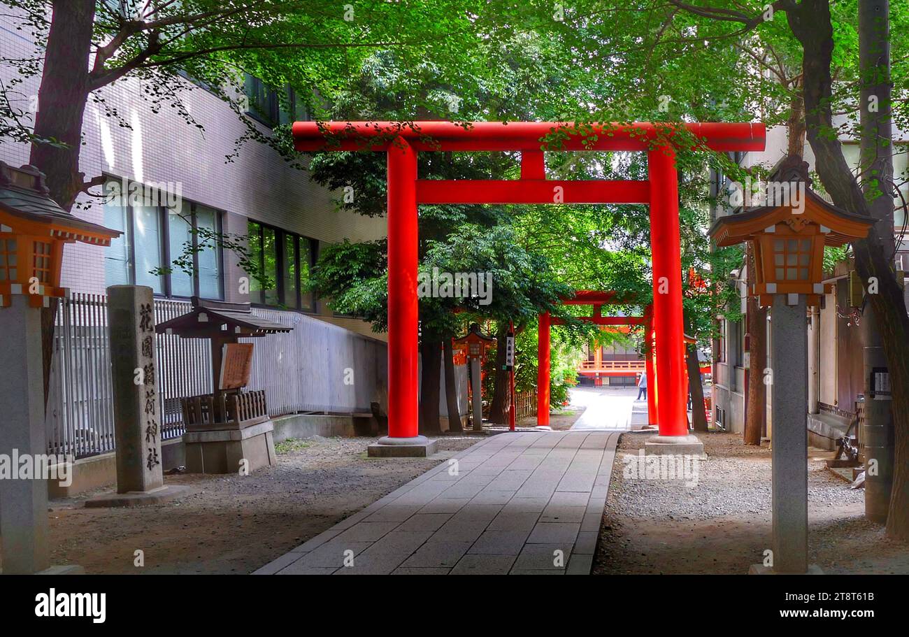 Hanazono Shrine, Shinjuku, A torii is a traditional Japanese gate most ...