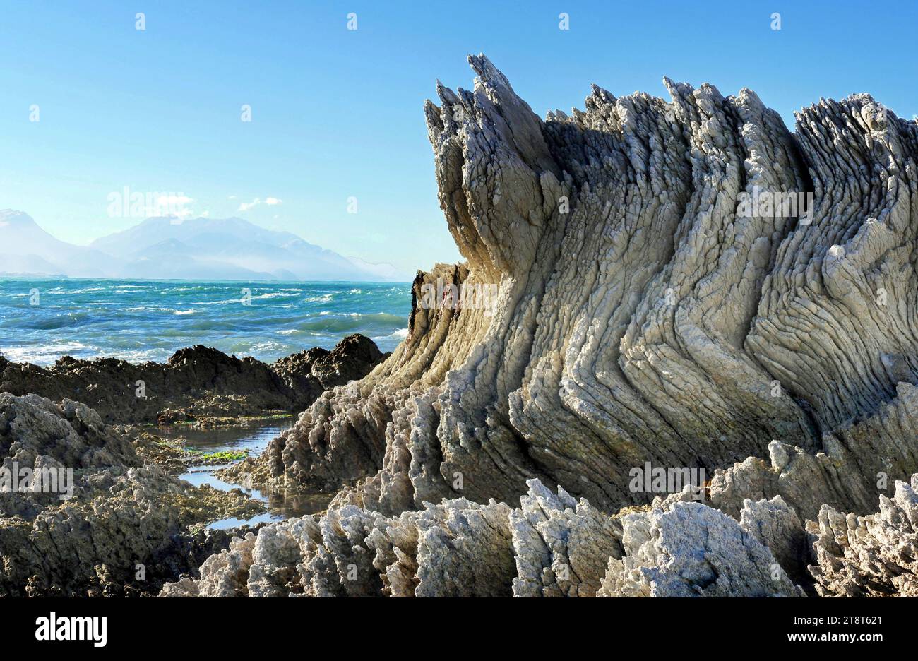Folded Limestone Kaikoura. NZ, Oligocene tilted folded vertical ...