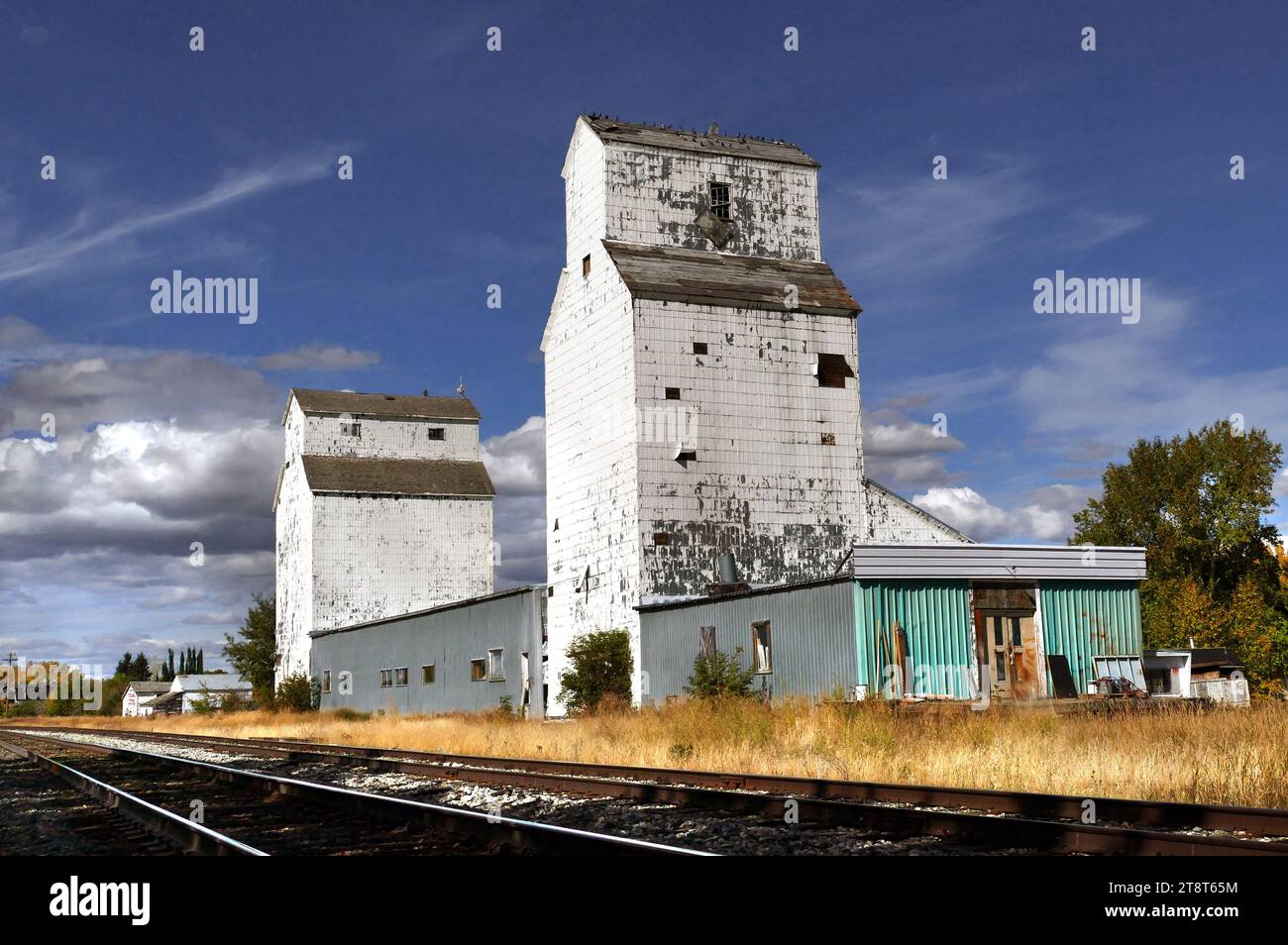 Standing tall. De Winton Alberta, Old grain elevators outside the small ...