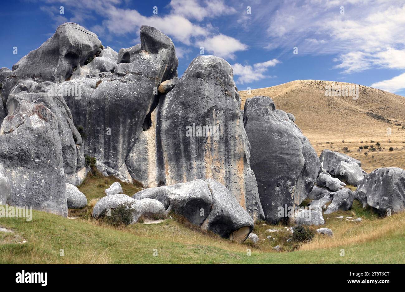 Oligocene age 30 40 million years ago hi-res stock photography and ...