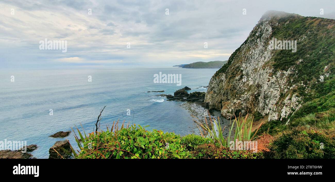Roaring Bay, Nugget Pt Otago, Roaring Bay is a special scenic area on ...