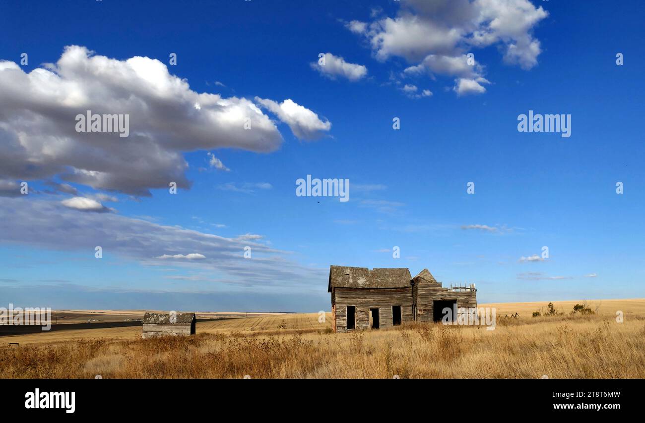 Lonely house on the prairie, Prairies are ecosystems considered part of ...