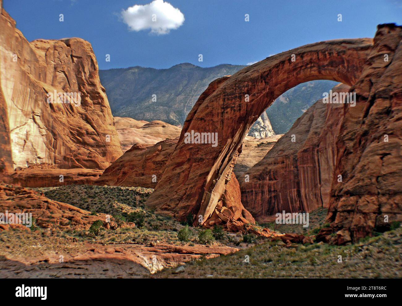 Area native american tribes hi-res stock photography and images - Alamy