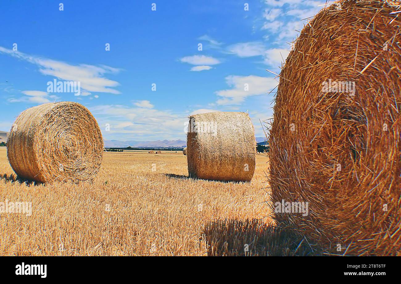 Haybales, Farmers who need to make large amounts of hay are likely to ...