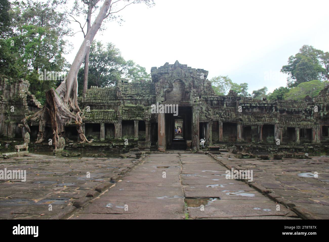 Preah Khan, Khmer temple, ancient Angkor area, Cambodia. Reign of ...
