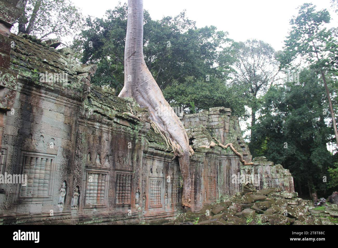 Preah Khan, Khmer temple, ancient Angkor area, Cambodia. Reign of ...
