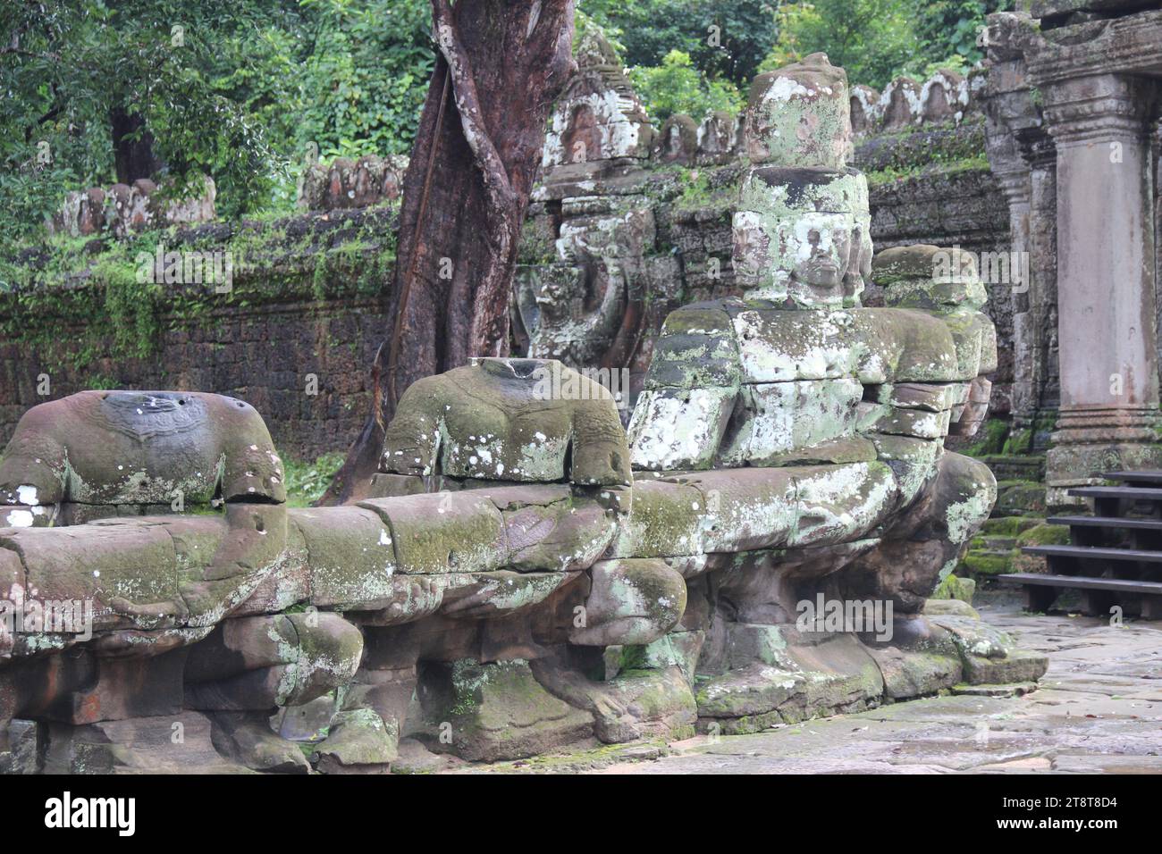 Preah Khan, Khmer temple, ancient Angkor area, Cambodia. Reign of ...