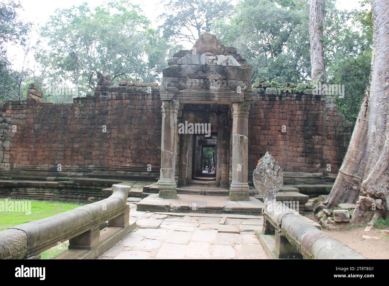 Ta Prohm, Khmer temple, ancient Angkor area, Cambodia. Reign of ...