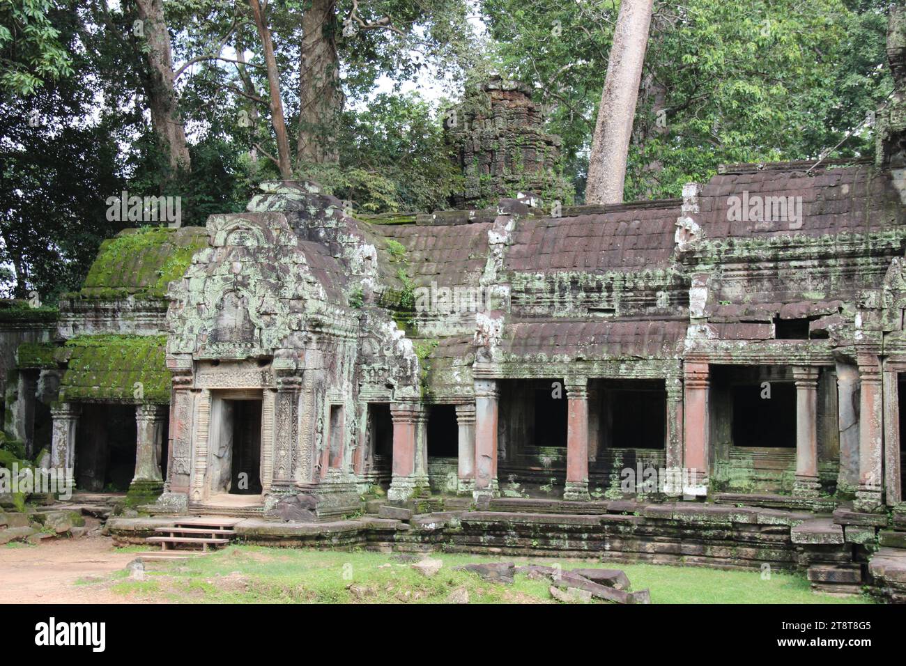 Ta Prohm, Khmer temple, ancient Angkor area, Cambodia. Reign of ...