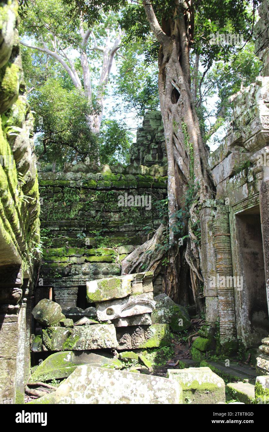 Indravarman ii hi-res stock photography and images - Alamy