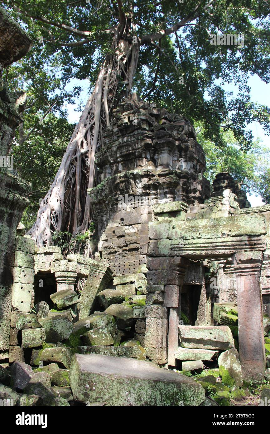 Ta Prohm, Khmer temple, ancient Angkor area, Cambodia. Reign of ...