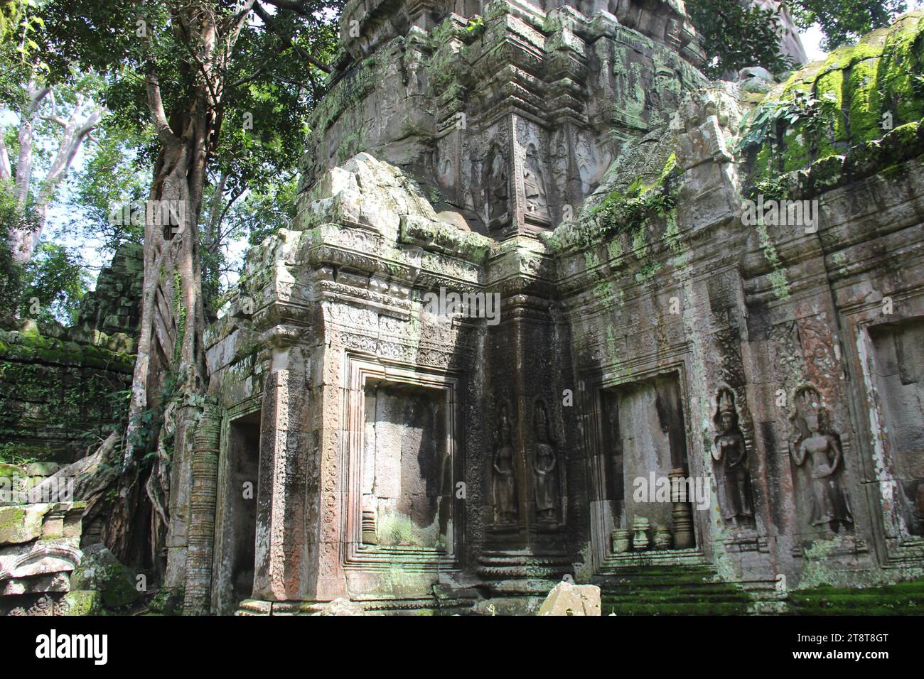 Ta Prohm, Khmer temple, ancient Angkor area, Cambodia. Reign of ...
