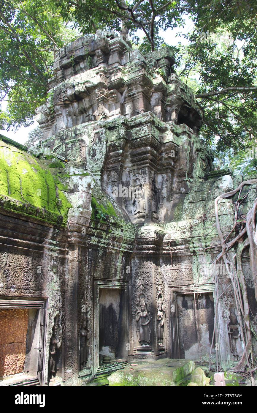 Ta Prohm, Khmer temple, ancient Angkor area, Cambodia. Reign of ...