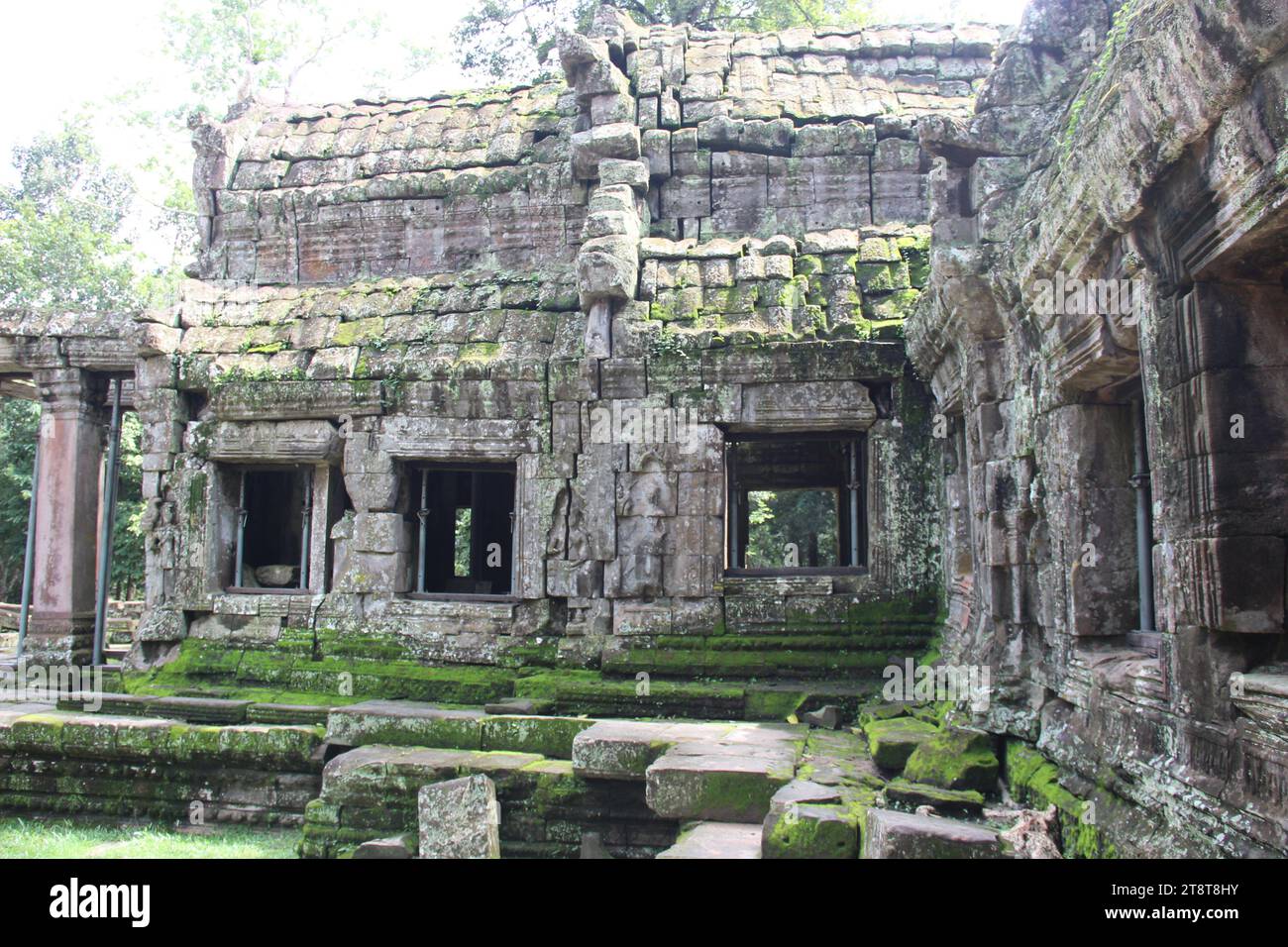 Ta Prohm, Khmer temple, ancient Angkor area, Cambodia. Reign of ...