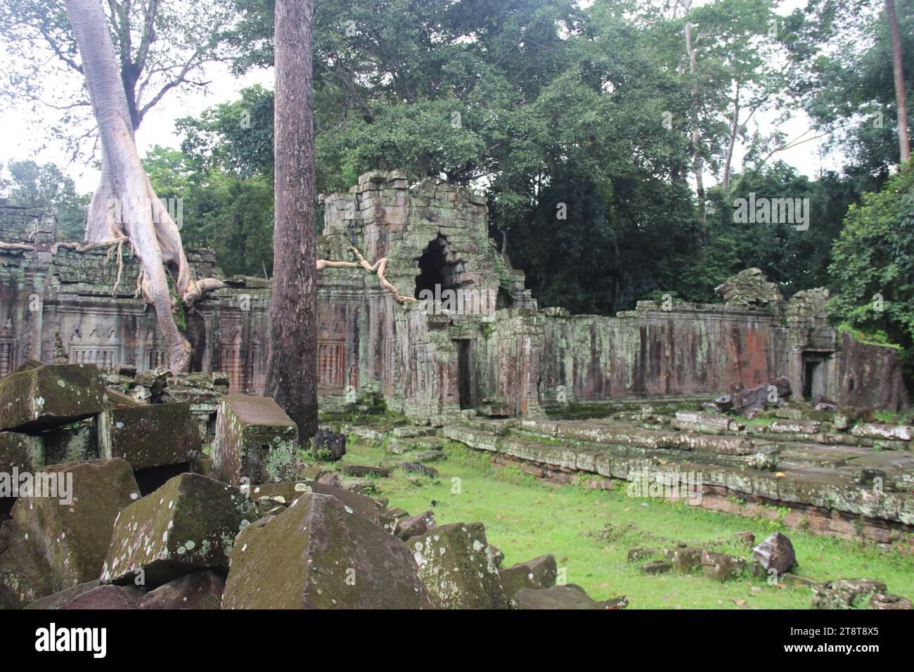 Preah Khan, Khmer temple, ancient Angkor area, Cambodia. Reign of ...