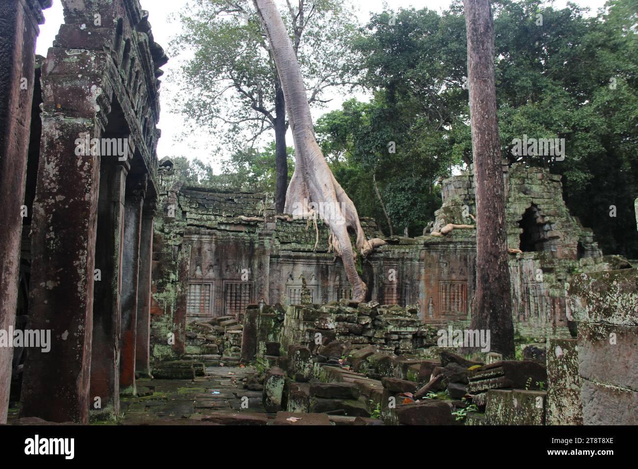 Preah Khan, Khmer temple, ancient Angkor area, Cambodia. Reign of ...