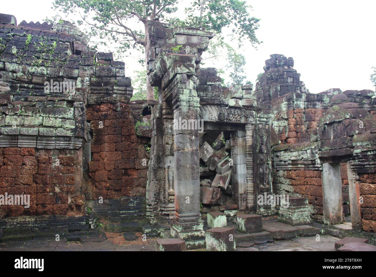 Preah Khan, Khmer temple, ancient Angkor area, Cambodia. Reign of ...