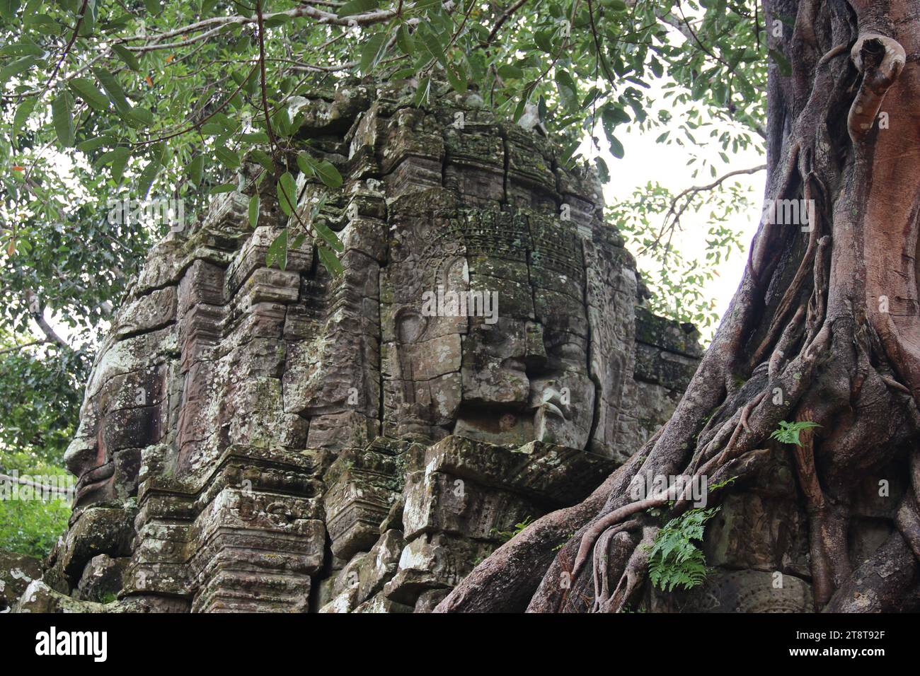Ta Som, Khmer temple, ancient Angkor area, Cambodia. Reign of ...