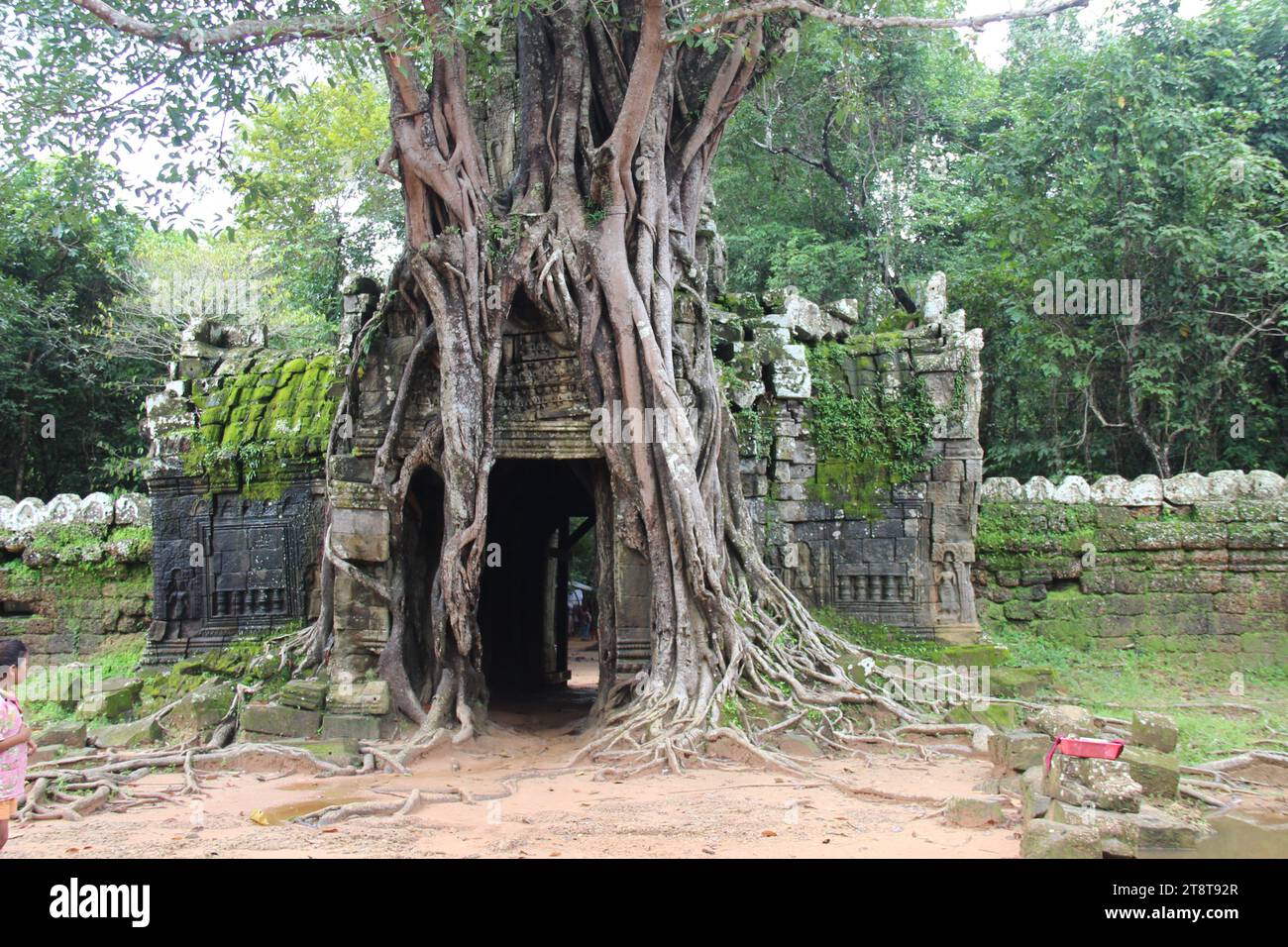 Ta Som, Khmer temple, ancient Angkor area, Cambodia. Reign of ...