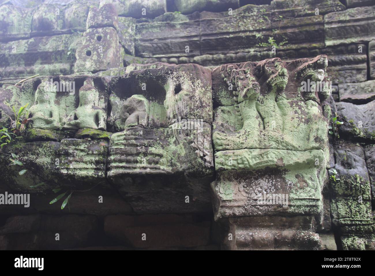 Preah Khan, Khmer temple, ancient Angkor area, Cambodia. Reign of ...