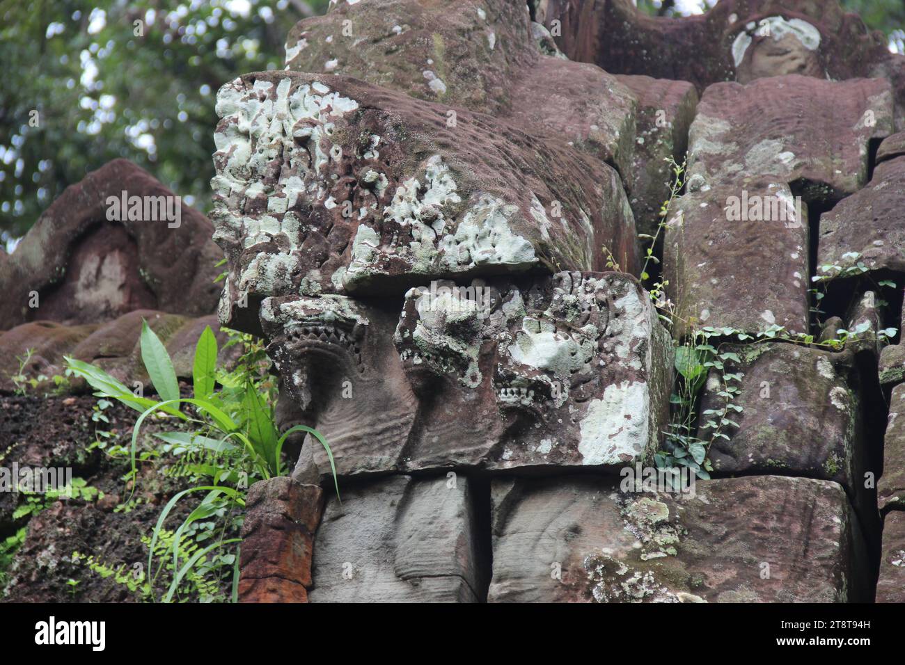 Ta Som, Khmer temple, ancient Angkor area, Cambodia. Reign of ...