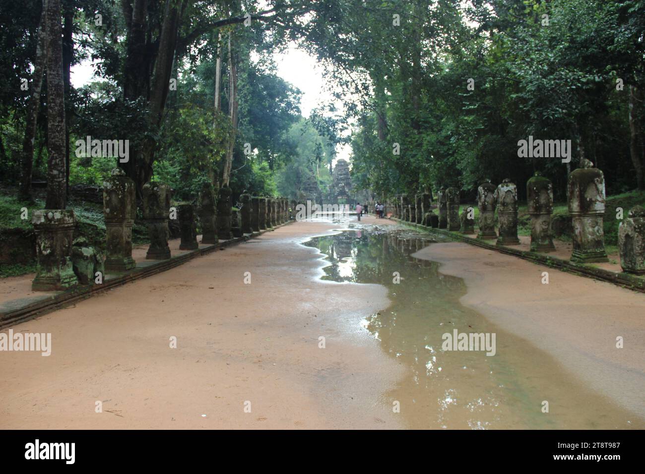 Preah Khan, Khmer temple, ancient Angkor area, Cambodia. Reign of ...