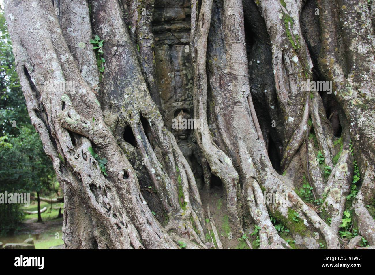 Ta Som, Khmer temple, ancient Angkor area, Cambodia. Reign of ...