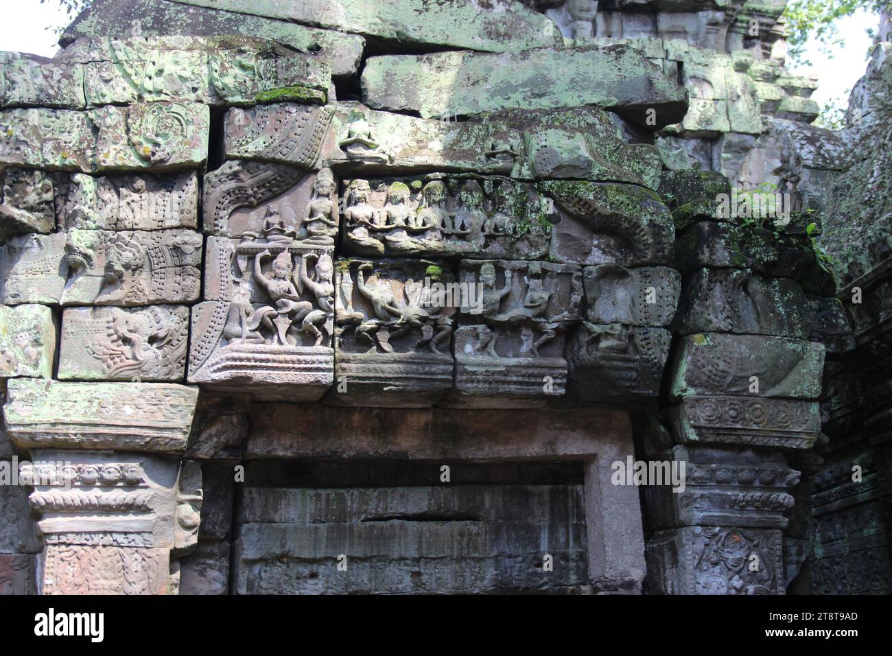 Ta Prohm, Khmer temple, ancient Angkor area, Cambodia. Reign of ...
