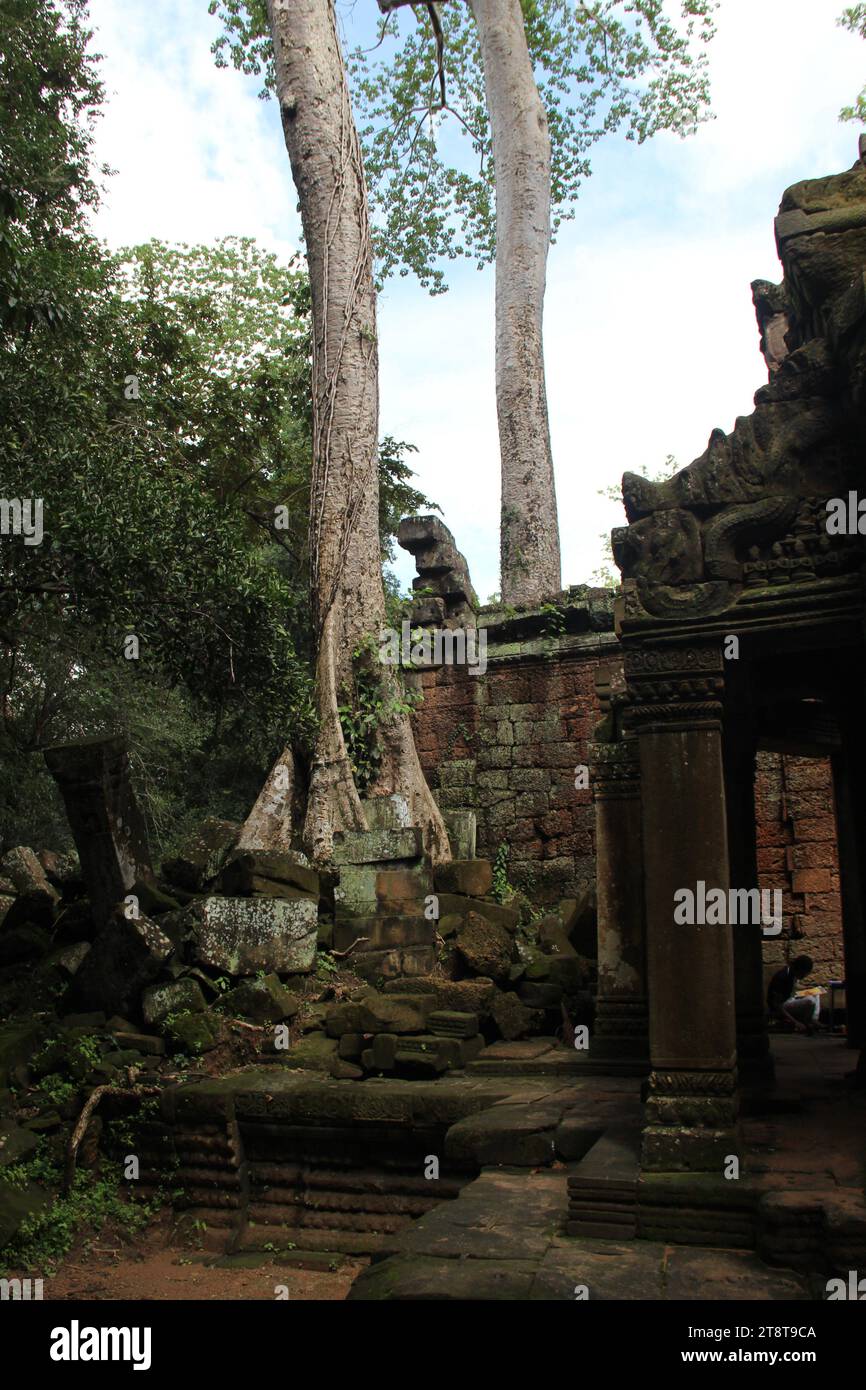 Ta Prohm, Khmer temple, ancient Angkor area, Cambodia. Reign of ...