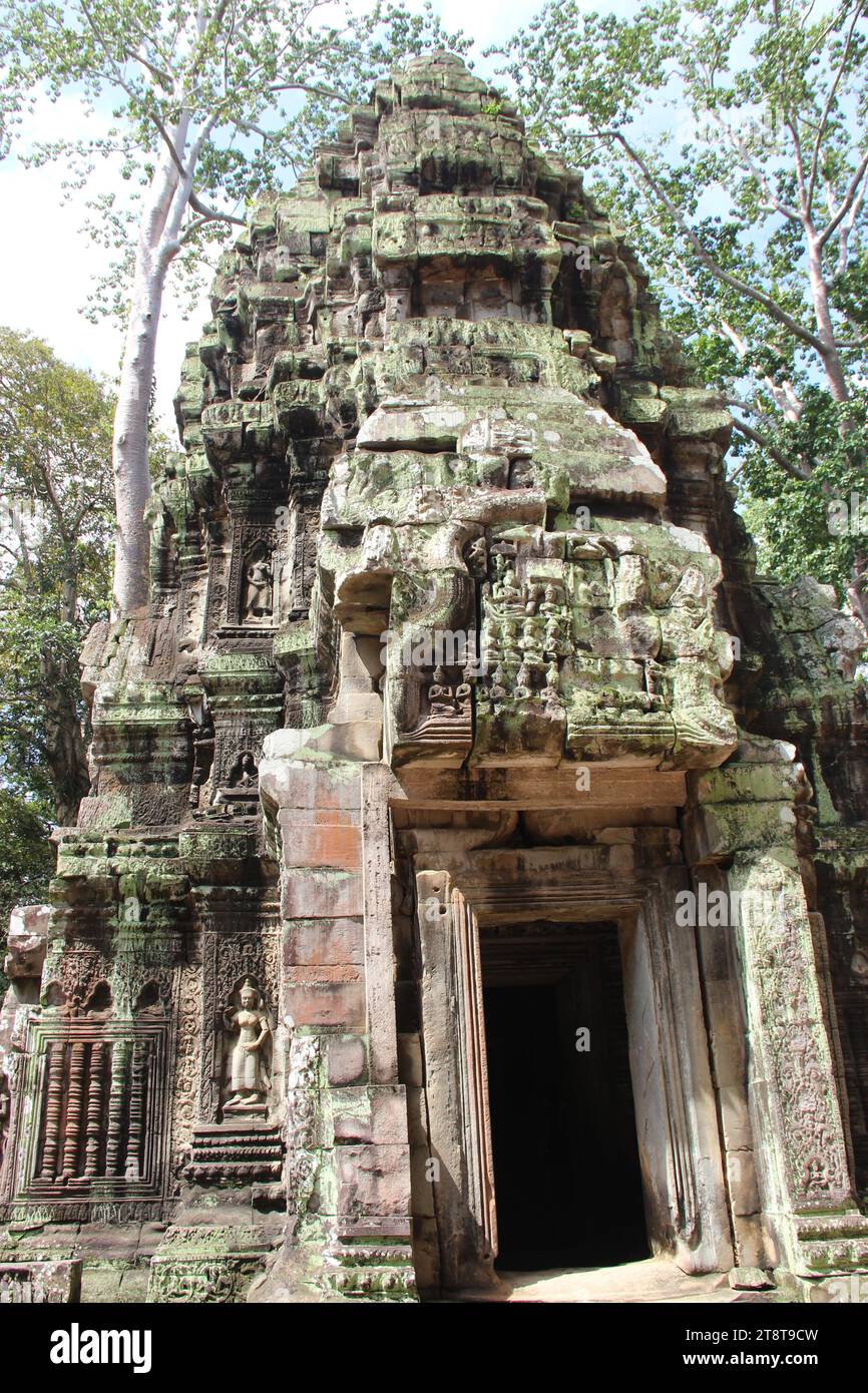 Ta Prohm, Khmer temple, ancient Angkor area, Cambodia. Reign of ...