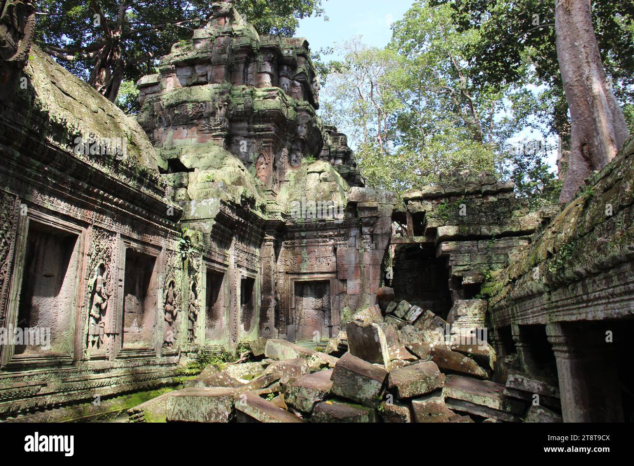 Ta Prohm, Khmer temple, ancient Angkor area, Cambodia. Reign of ...