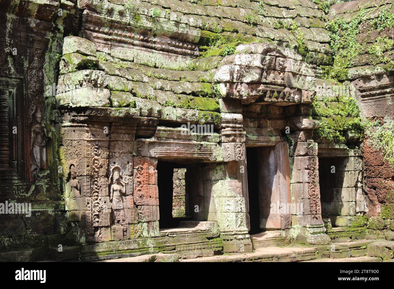 Ta Prohm, Khmer temple, ancient Angkor area, Cambodia. Reign of ...