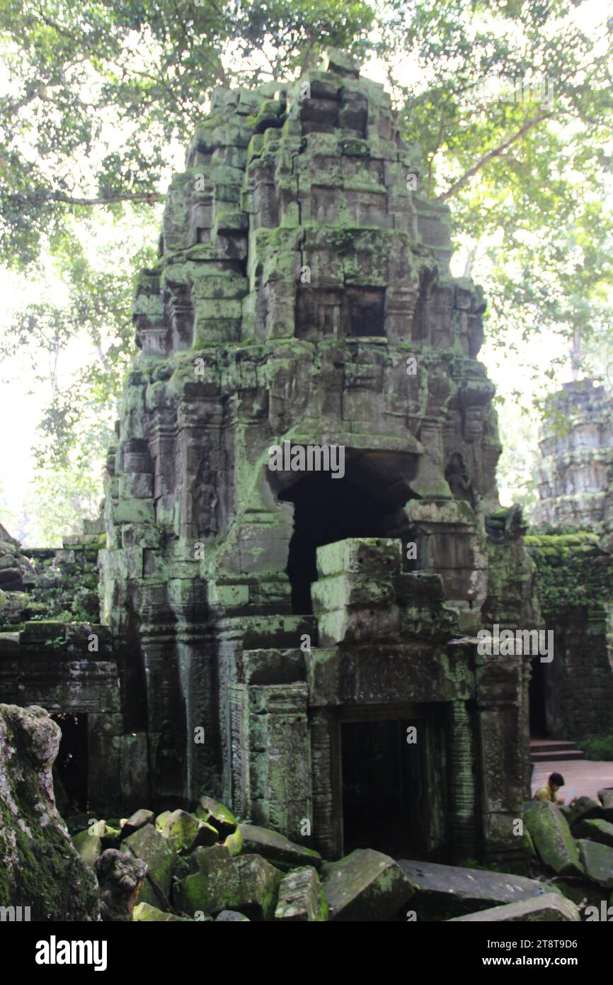 Ta Prohm, Khmer temple, ancient Angkor area, Cambodia. Reign of ...