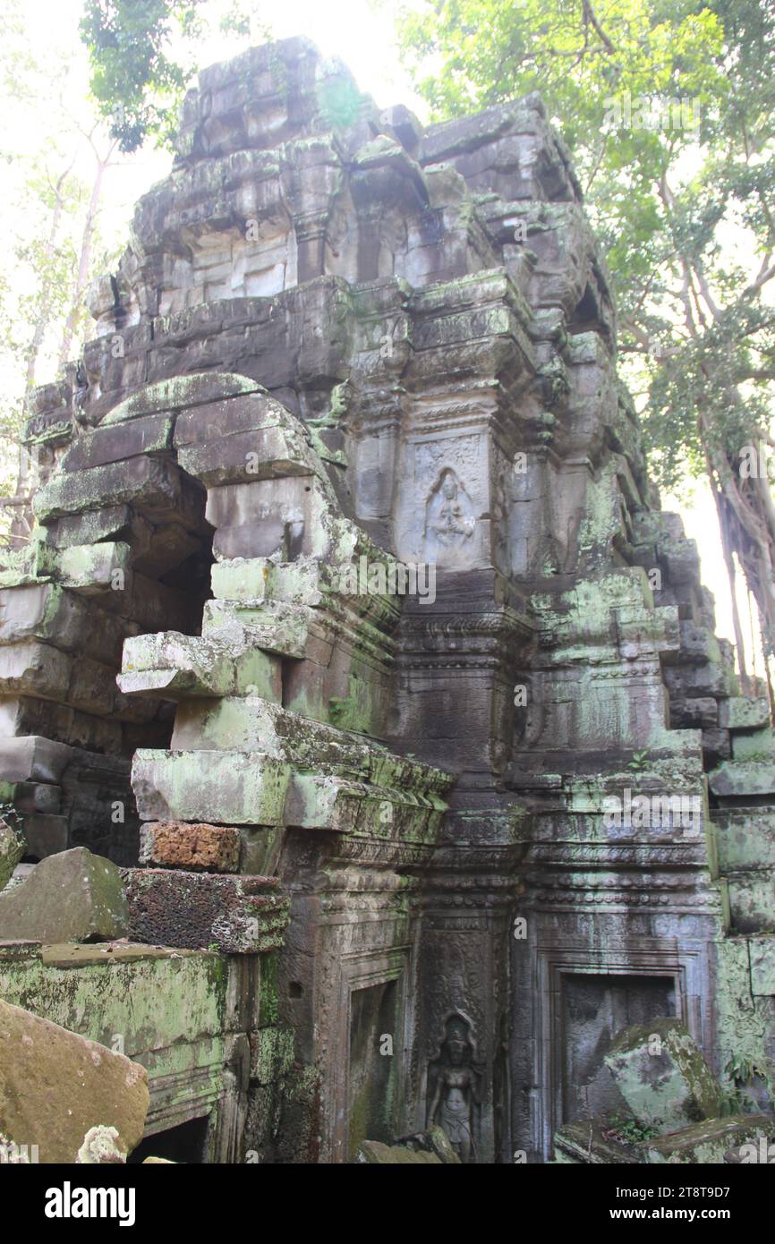 Ta Prohm, Khmer temple, ancient Angkor area, Cambodia. Reign of ...