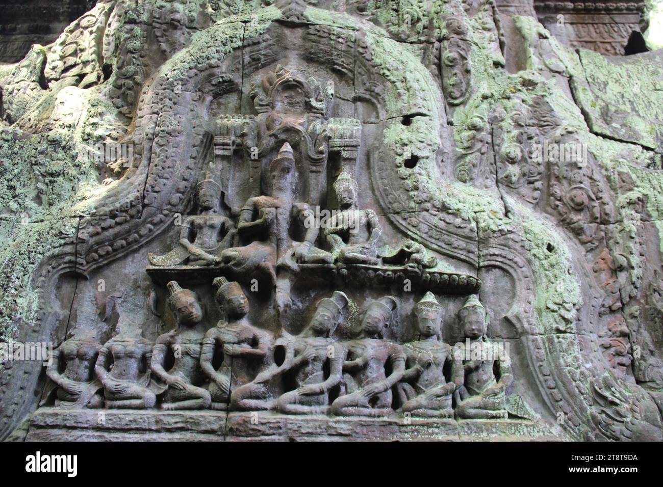 Ta Prohm, Khmer temple, ancient Angkor area, Cambodia. Reign of ...