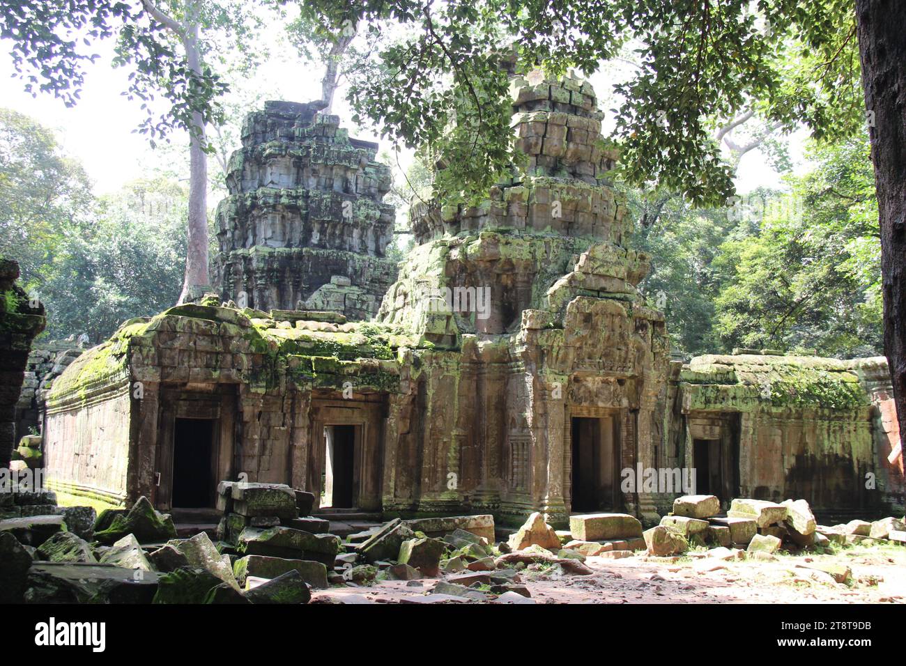 Ta Prohm, Khmer temple, ancient Angkor area, Cambodia. Reign of ...