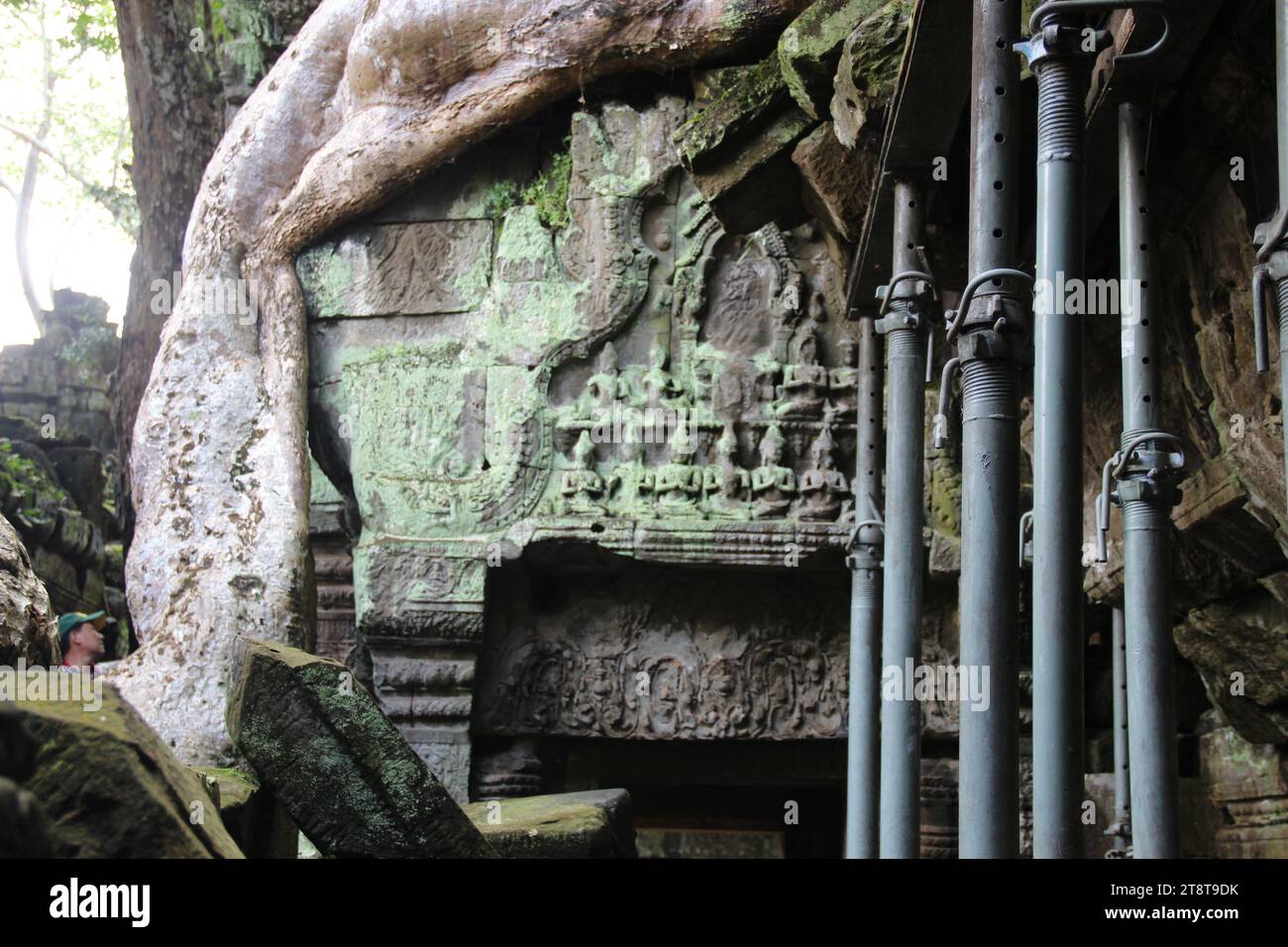 Ta Prohm, Khmer temple, ancient Angkor area, Cambodia. Reign of ...