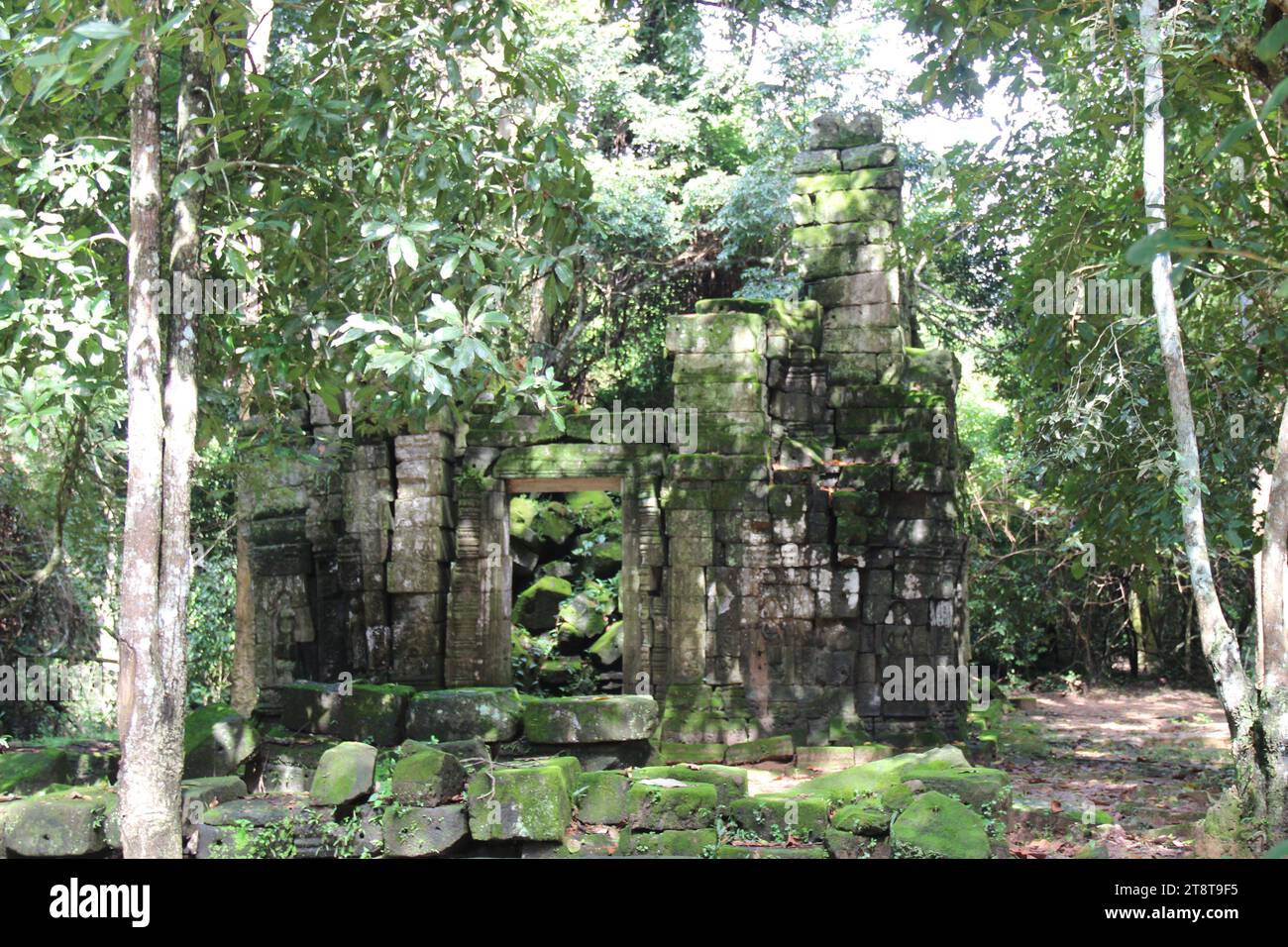 Ta Prohm, Khmer temple, ancient Angkor area, Cambodia. Reign of ...