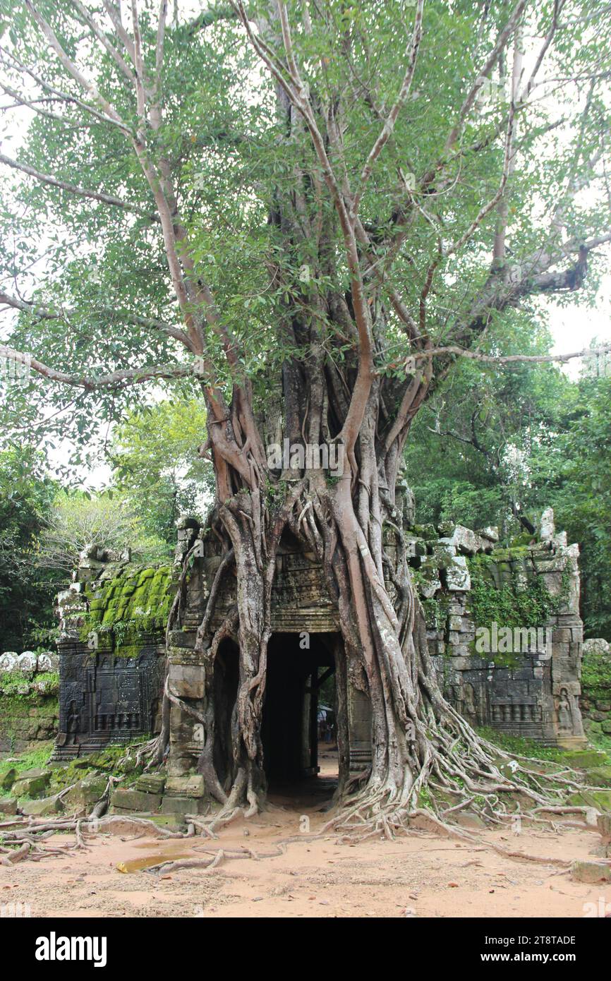 Ta Som, Khmer temple, ancient Angkor area, Cambodia. Reign of ...